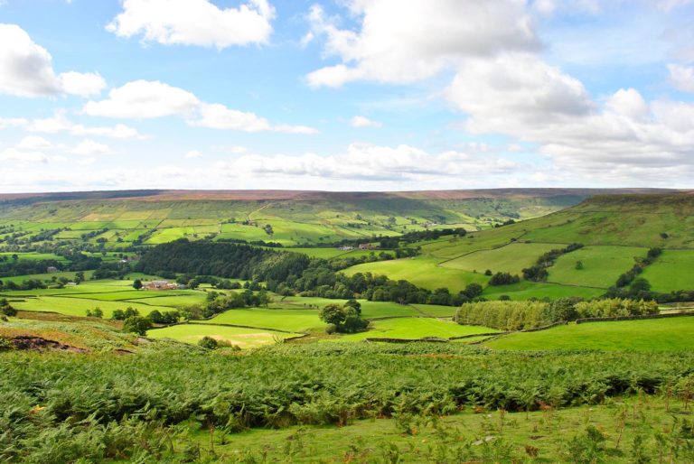 home-page-image - Farndale